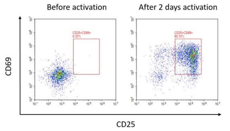 Effect of Flow Cytometry Related Reagents on Experimental Results