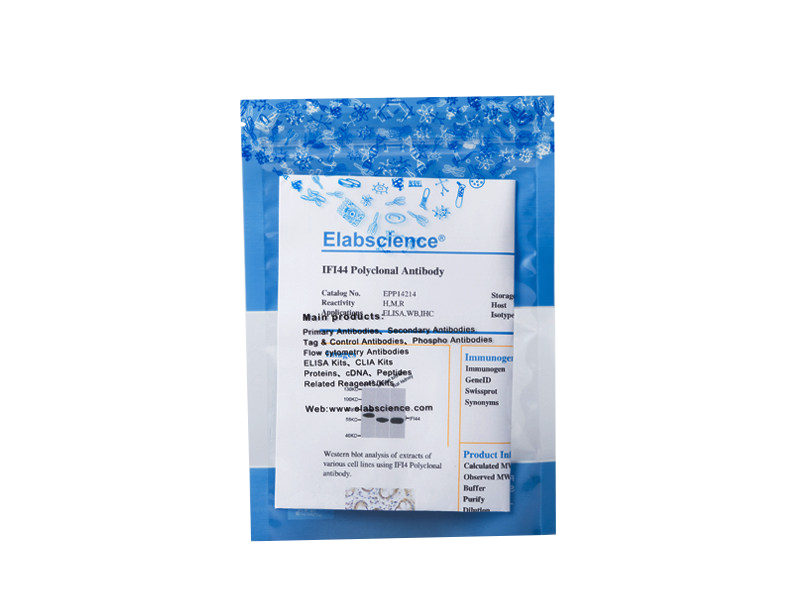 Matched Antibody Pair Kits and Reagents - Elabscience