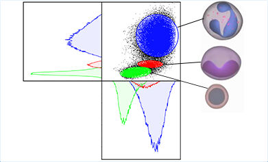 Flow Cytometry Antibodies, ELISA Kits, Cell Function Assays ...