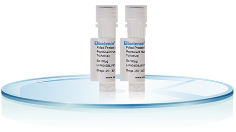 Proteins and Peptides - Elabscience