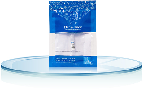 Proteins and Peptides - Elabscience