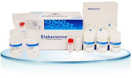 Proteins and Peptides - Elabscience